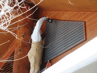 Tips For Rat-Proofing Your Home | Critter Control Of Orlando